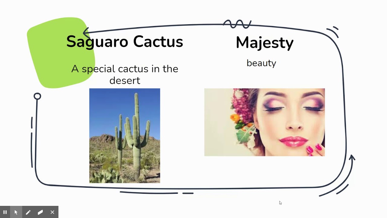 Around One Cactus - YouTube