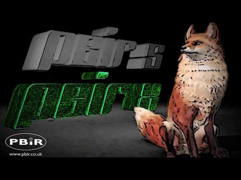 PBIR S AND X IR TORCH