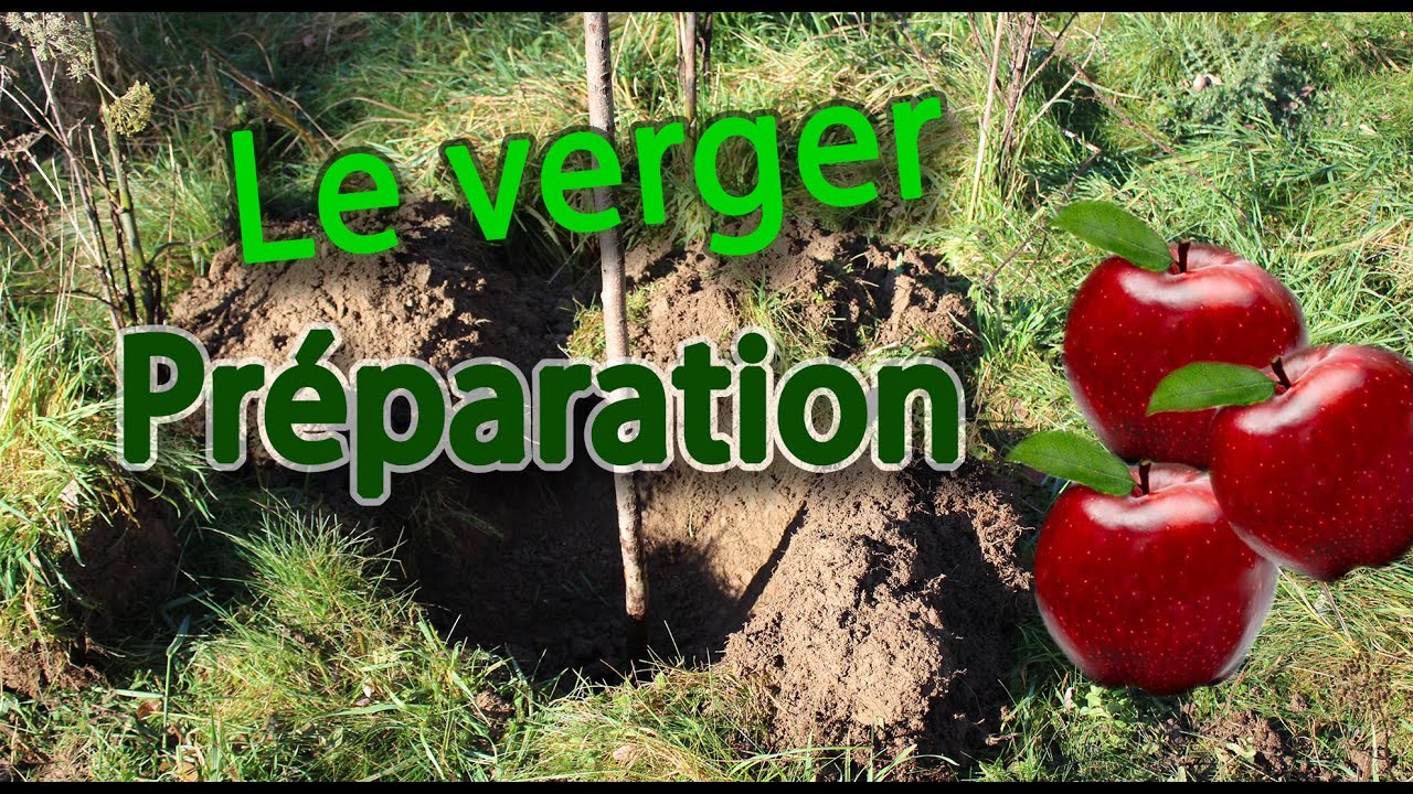 Préparation de notre verger en permaculture - YouTube