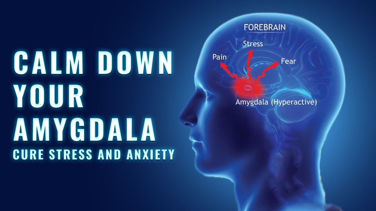 Calm Your Amygdala 396 Hz | Cure Anxiety Panic And Attacks Naturally ...