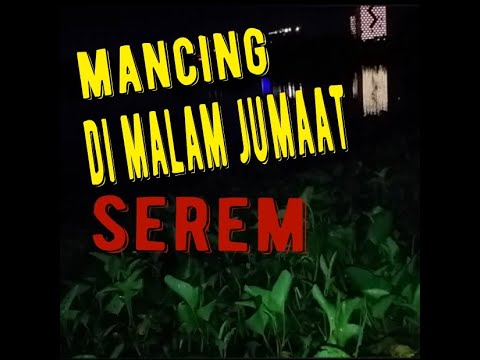 SEREM!! TAPI IKANYA GEDE GEDE #Mancingmania #mancing_ikan_mujaer  #mancingmania_dimalamhari