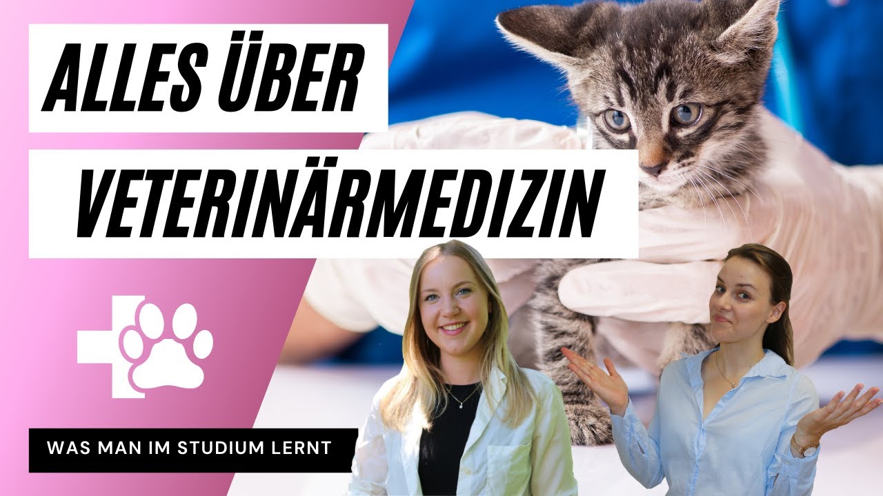 VETERINÄRMEDIZIN studieren an der VetMed Wien - YouTube