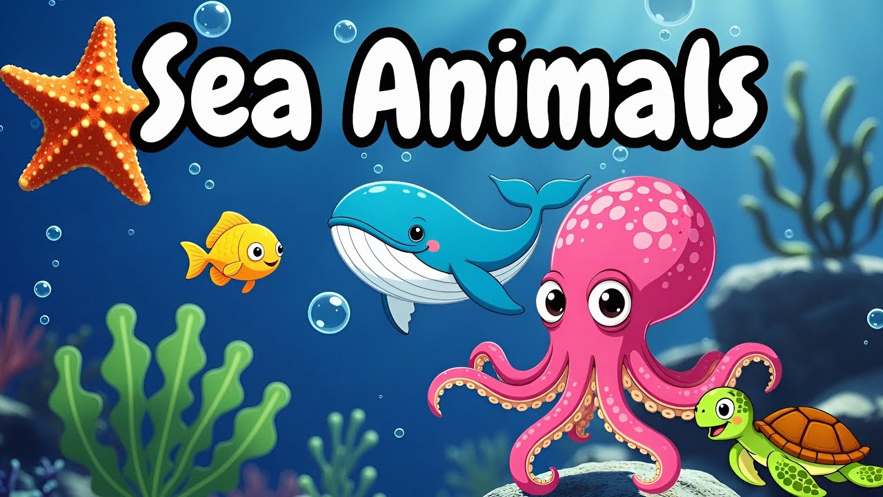 🐬 Sea Animals for Kids | Learn Ocean Animals - YouTube