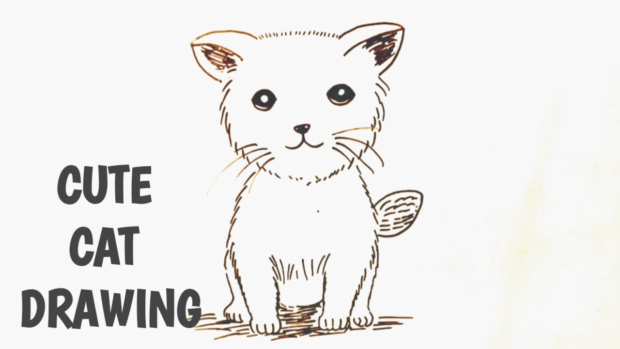 Cute Baby Cat Drawing | How to draw Easy Cat Drawing. @pusdrawing - YouTube