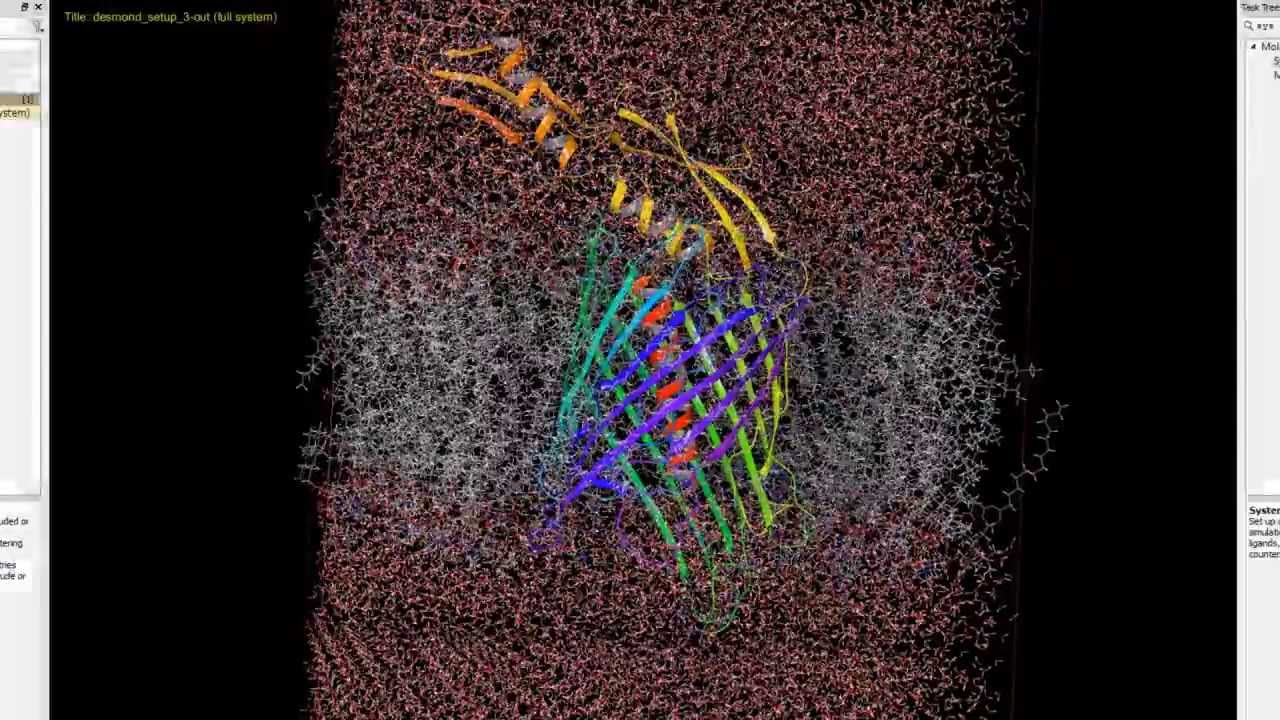 Desmond - Preparing a Membrane Protein for MD Simulations - YouTube