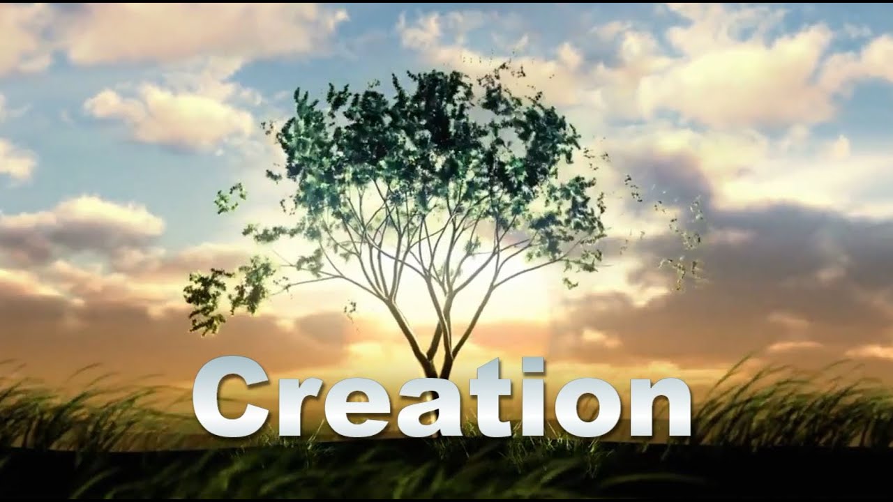 Jesse Tree Story 1 CREATION - YouTube