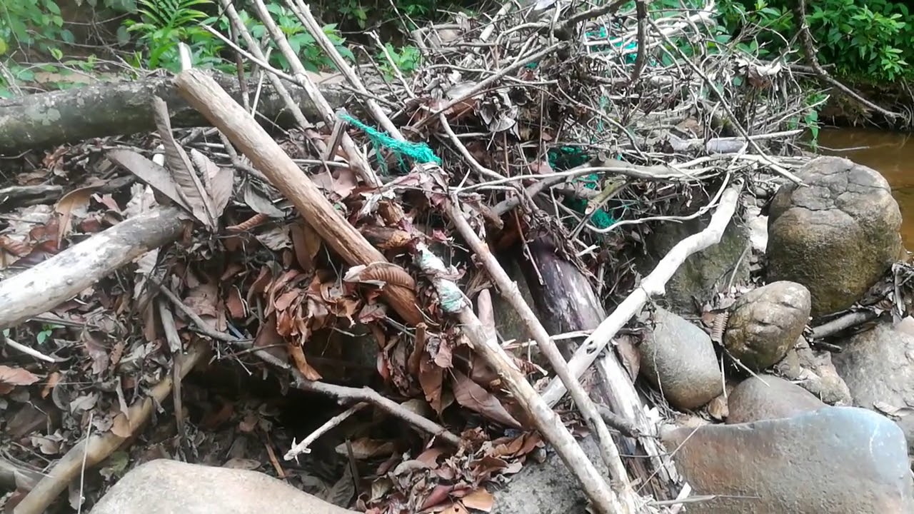 Amazon Rivers Pollution in Ecuador Rainforest🌎🌈 - YouTube