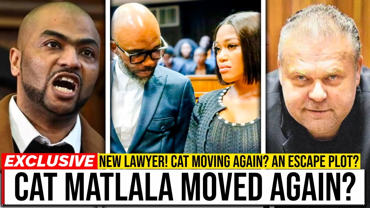 Cat Matlala Hires Crime Kingpin's Lawyer! eBongweni Scandal, Will CAT ...