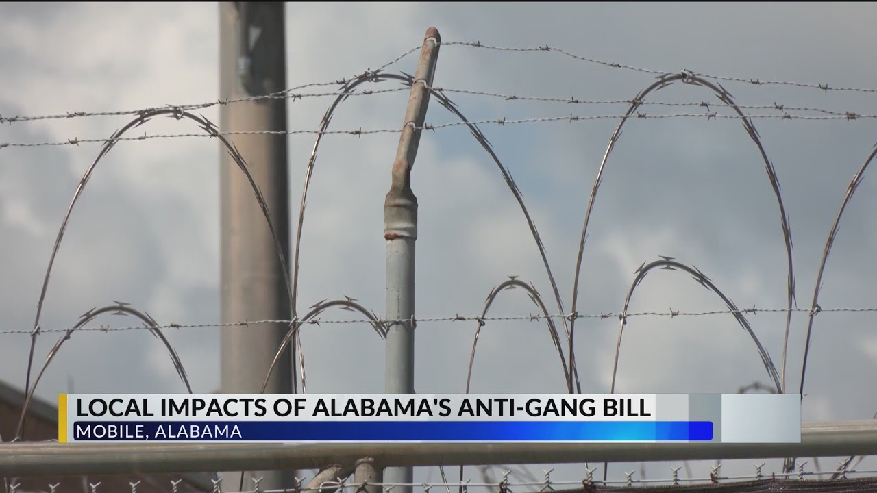 New Alabama gang prevention law a 'game-changer,' MPD says - YouTube