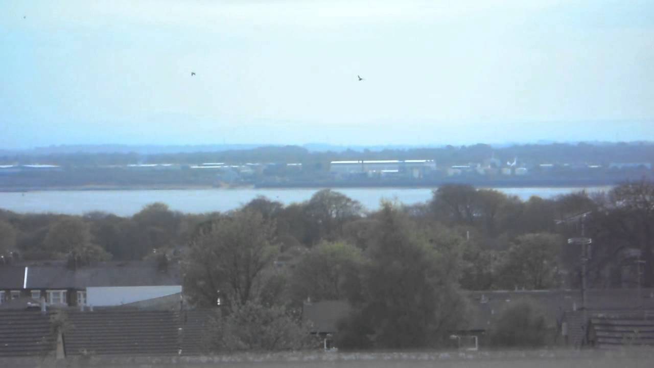 Birds Over The River Mersey - YouTube