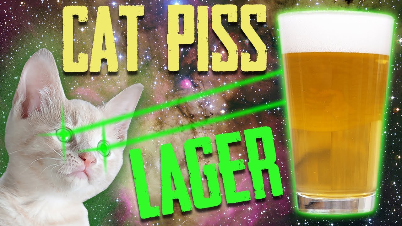 How to Brew A Hoppy Lager Beer - YouTube