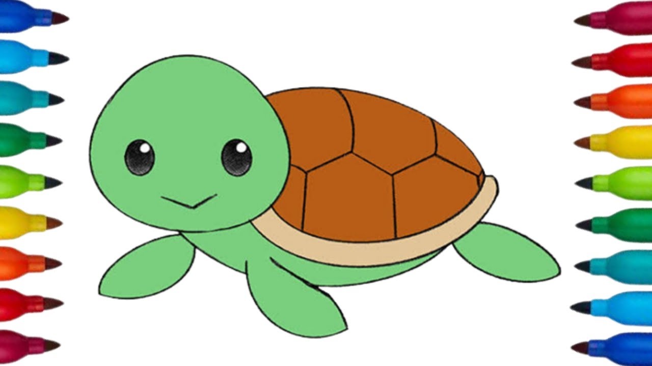 How To Draw A Turtle For Kids