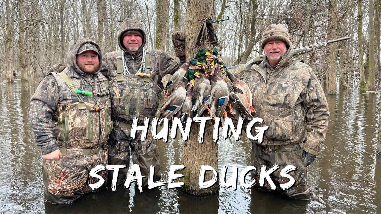 Duck Hunting Hard Headed Birds | It Ain't Easy, But It's Worth It ...