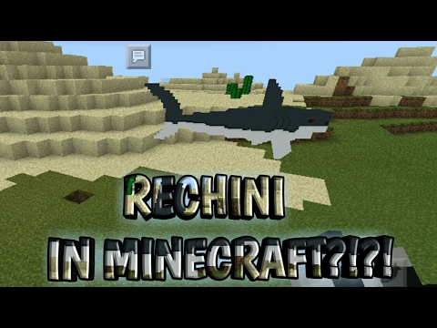 RECHINI IN MINECRAFT?!?! - YouTube