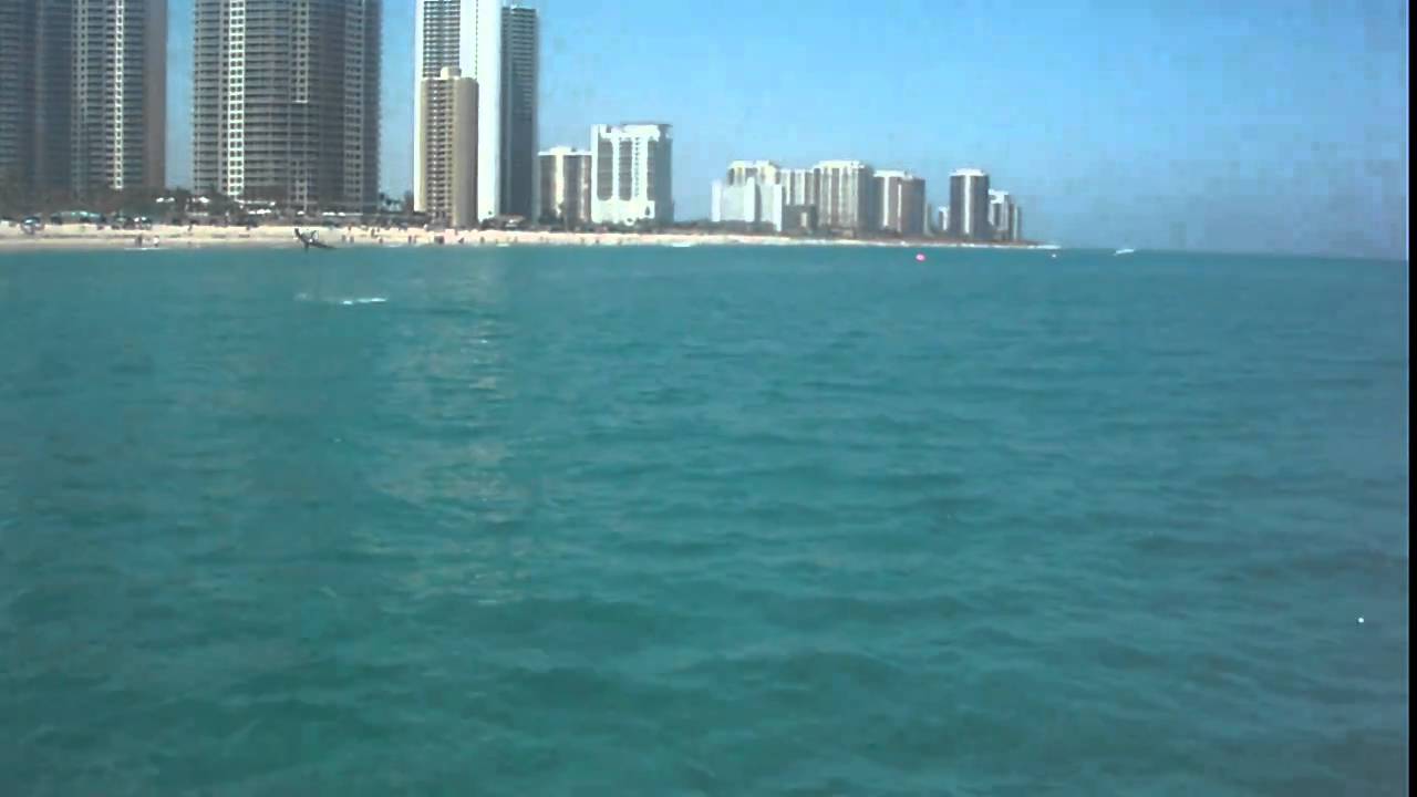 jumping spinner shark - YouTube