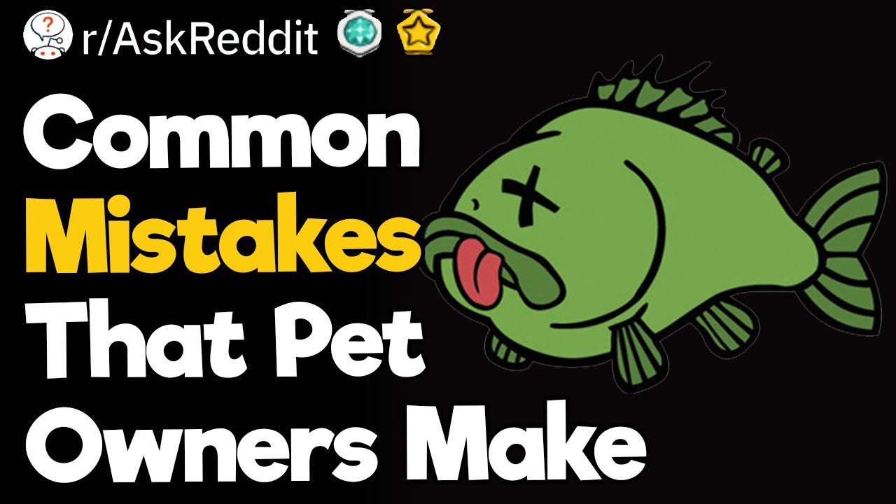 Common Mistakes That Pet Owners Make - YouTube