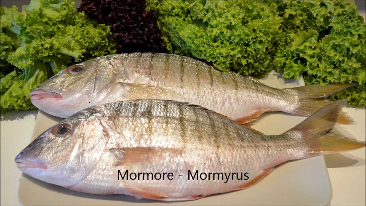 Filetto di Mormora al Cartoccio con Pomodorini Mormyrus fillet with ...