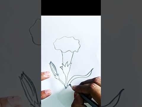 how to draw Kaner flower drawing | easy flower drawing | #shorts - YouTube