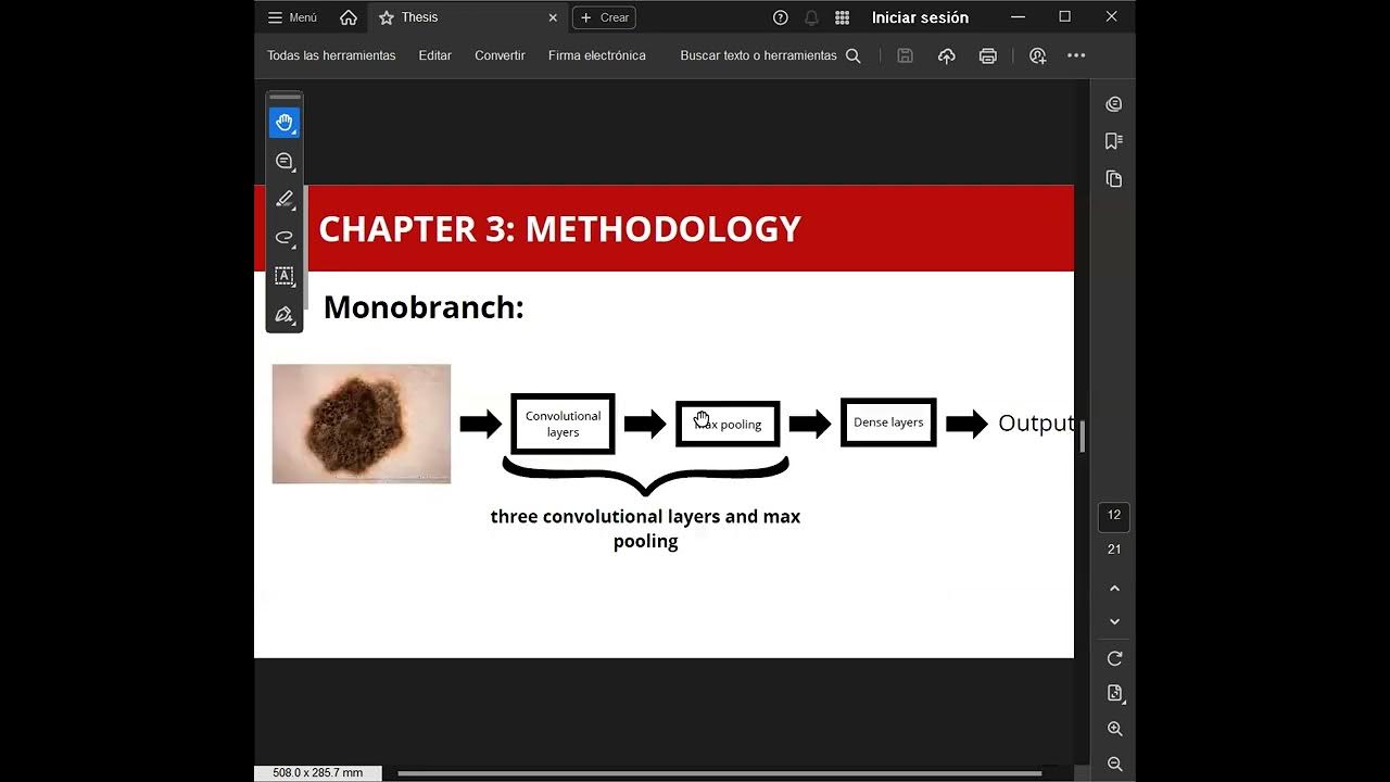 ANALYSIS OF DERMATOLOGICAL IMAGES WITH DEEP LEARNING TO DETECT MELANOMA ...