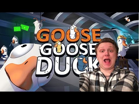 Chris spiller Goose Goose Duck 12 Norsk gaming - YouTube