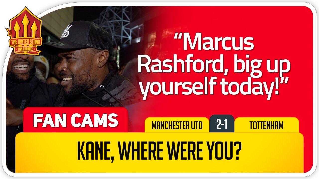 EXPRESSIONS! SPURS WERE DEAD! Manchester United 2-1 Tottenham Fan Cam ...