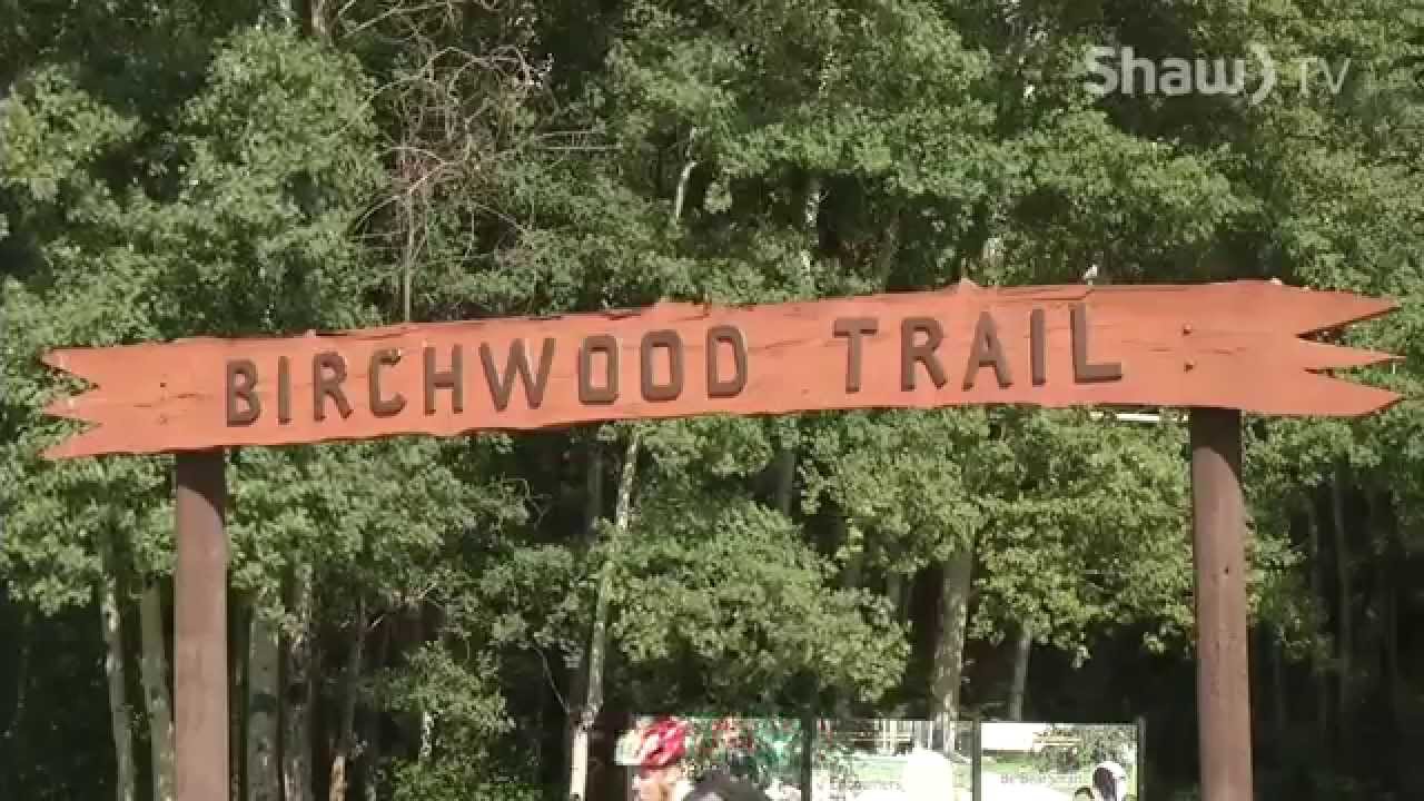 Running Through The Birchwood Trails - YouTube