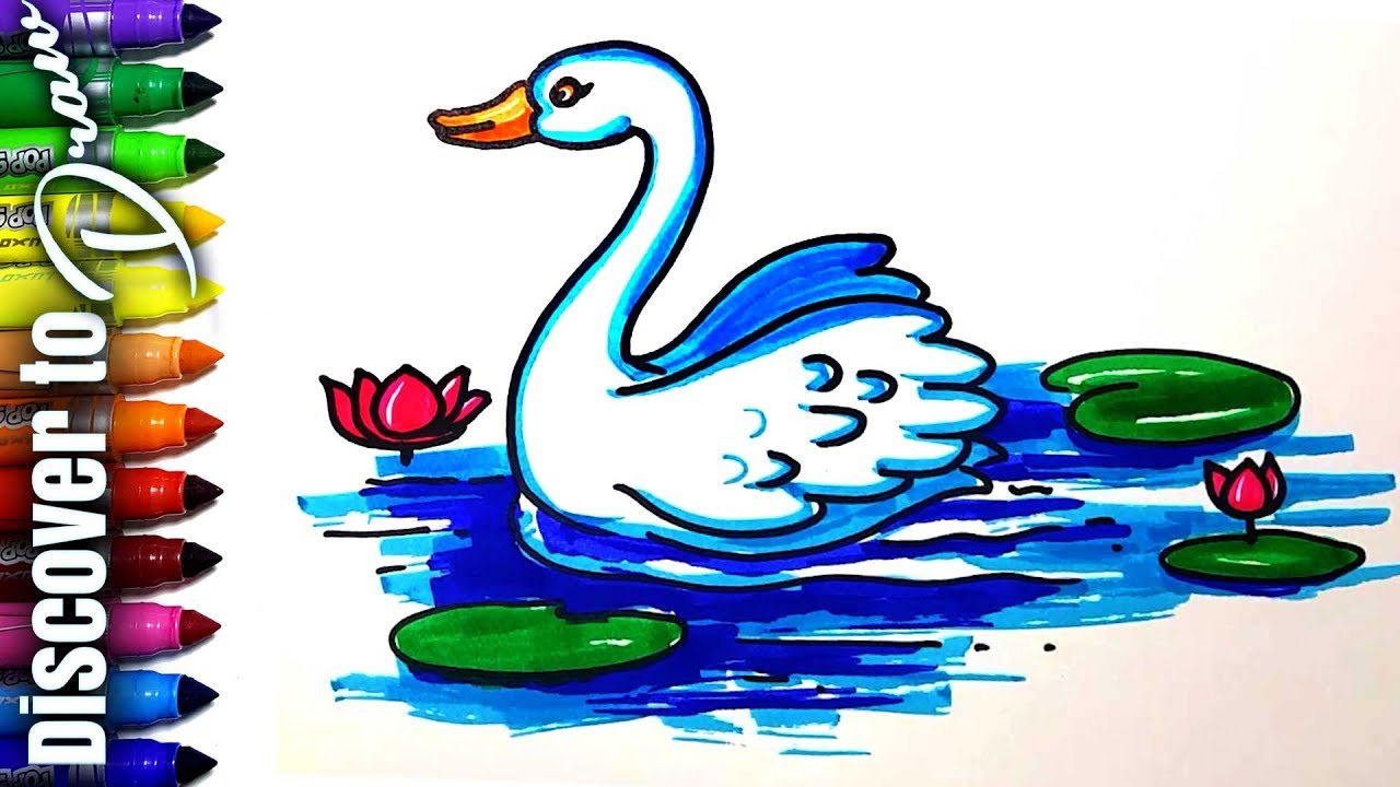 How to draw a Swan simple and step by step | Landscape drawings for ...