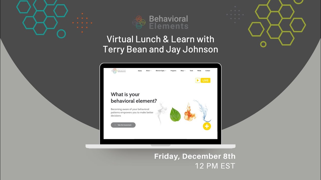 Behavioral Elements Lunch and Learn with Jay Johnson and Terry Bean Made with Clipchamp - YouTube
