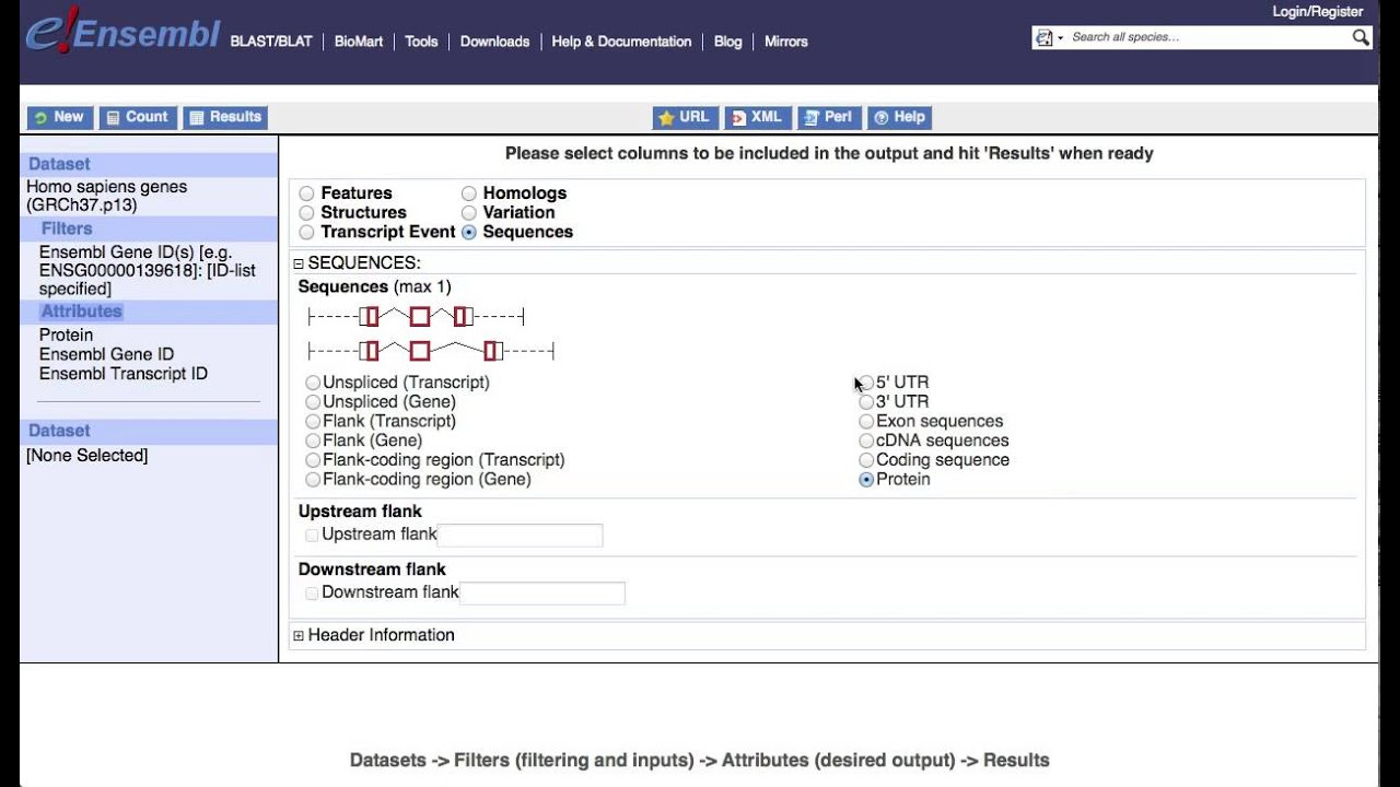 Introduction to Ensembl Genome Browser/Biomart - bioMart : answer 3 ...