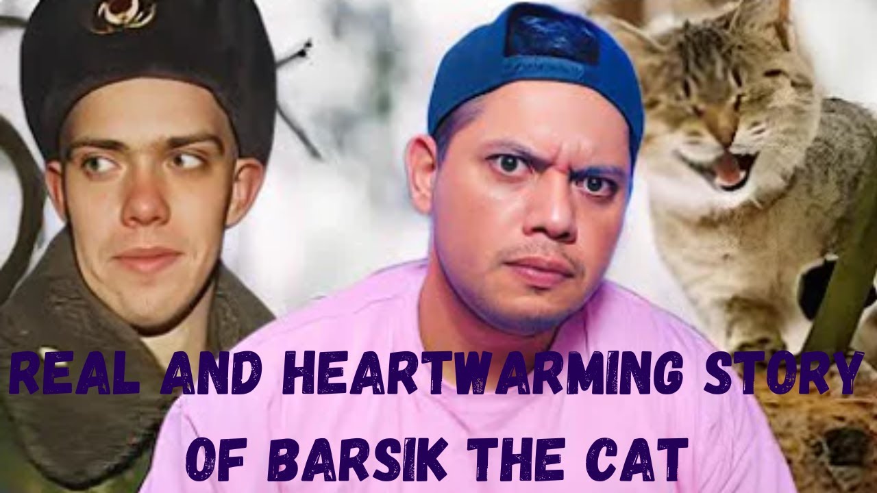 The rescue of Barsik the cat the most heartwarming story you'll ever ...