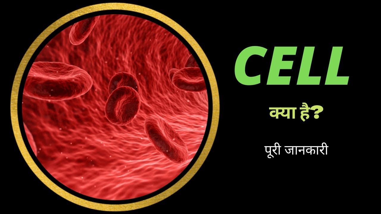 What Is CELL With Full Information HINDI let s Support YouTube what-is-cell-with-full-information-hindi-let-s-support-youtube