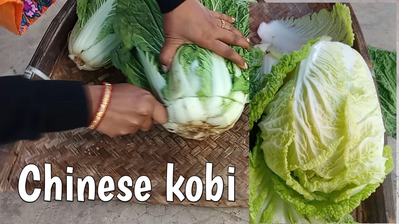 Chinese kobi recipe। China saag। English saag । Chinese cabbage - YouTube