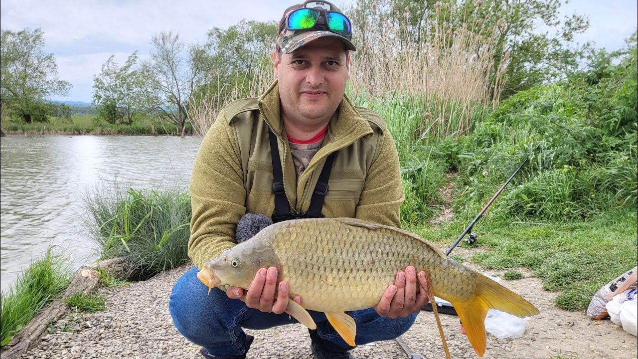 PESCUIT LA FEEDER CRAP SI CARAS PE LACUL SCORTENI BACAU🎣🎣🔥🔥 - YouTube