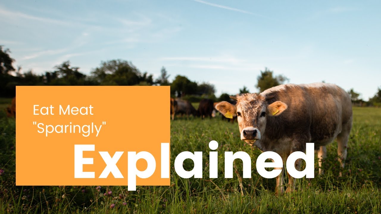 What does it mean to eat meat "sparingly"? - YouTube