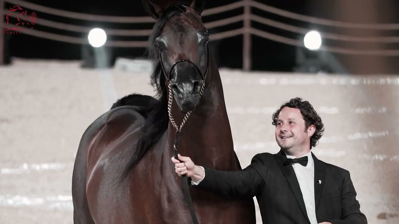 EKS ALIHANDRO - YouTube