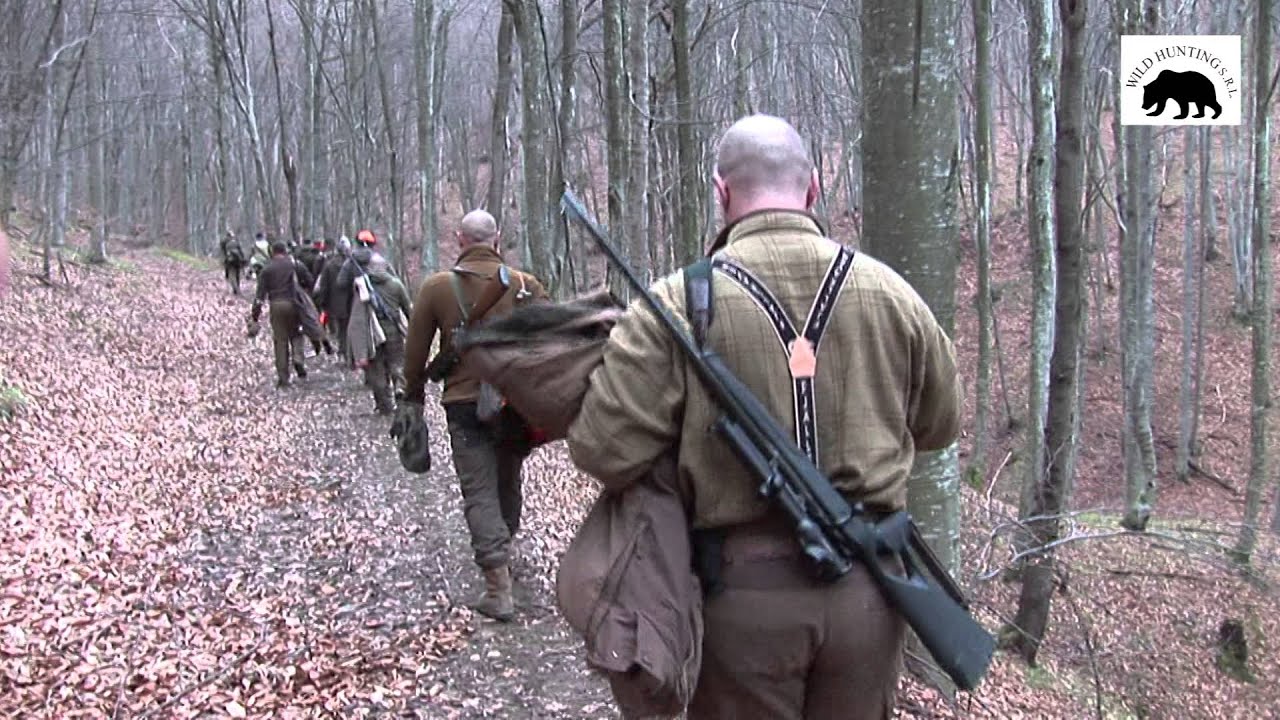 WILD HUNTING HD - YouTube