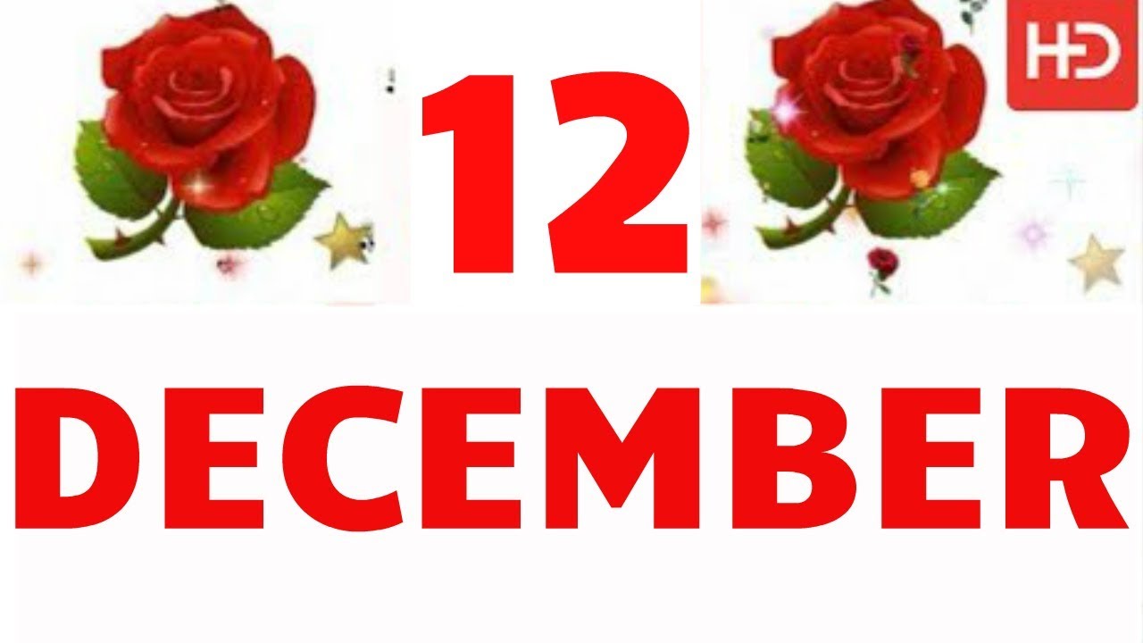 12 December Special New Birthday Status Video , happy birthday wishes ...