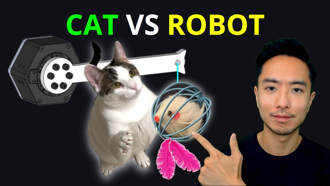 Robotic Cat Toy with BEAR Robotic Brushless Actuator - YouTube