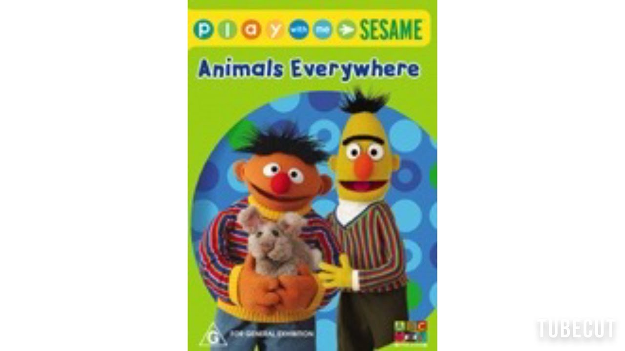 Animals everywhere (My version) - YouTube