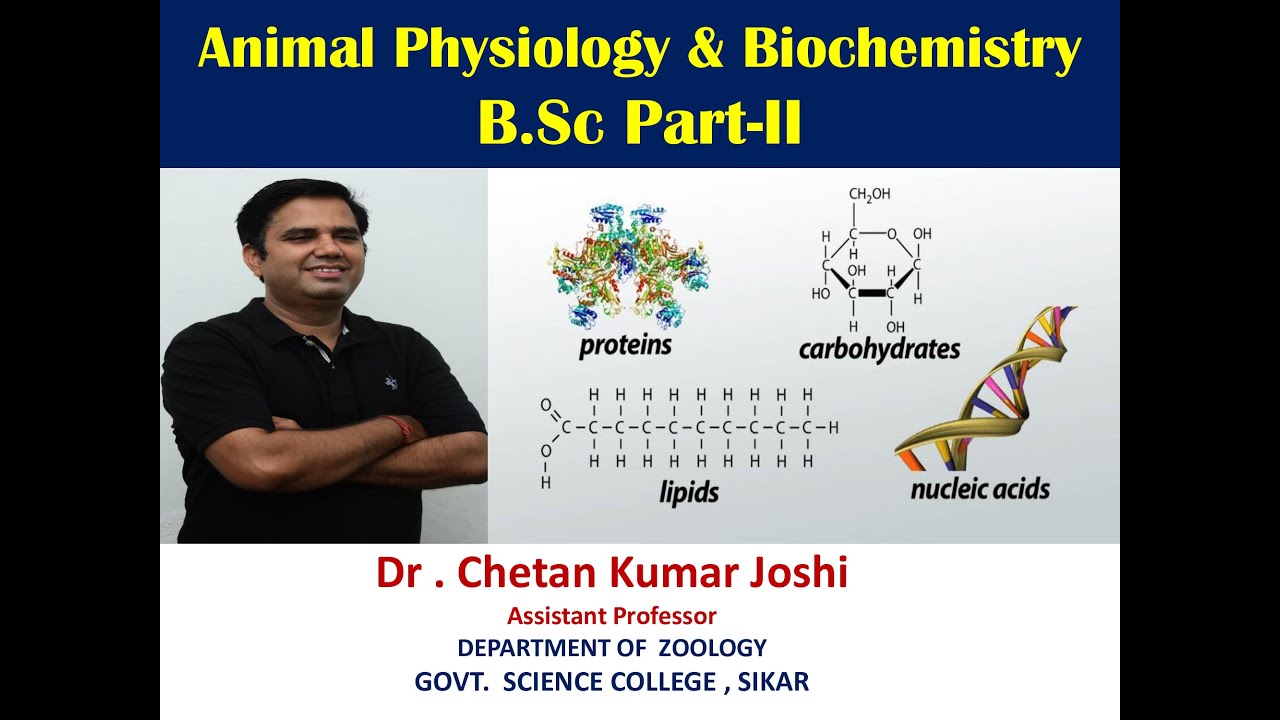 B.Sc. Part-II Biochemistry Shuttle System - YouTube