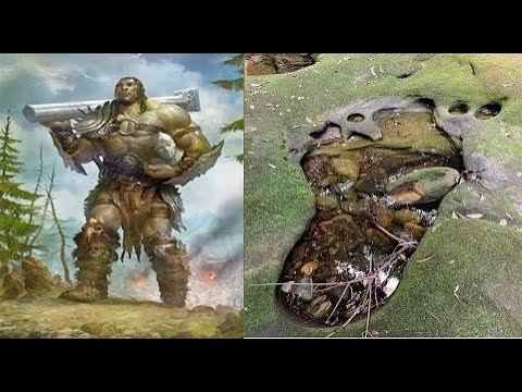 Giant humanoid footprint with six toes found in Sydney, Australia - YouTube