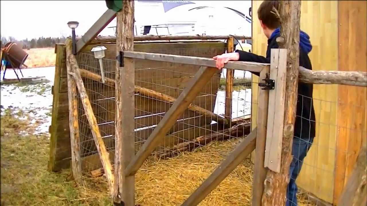 Feed (A Horror Short Film about Killer Goats) - YouTube