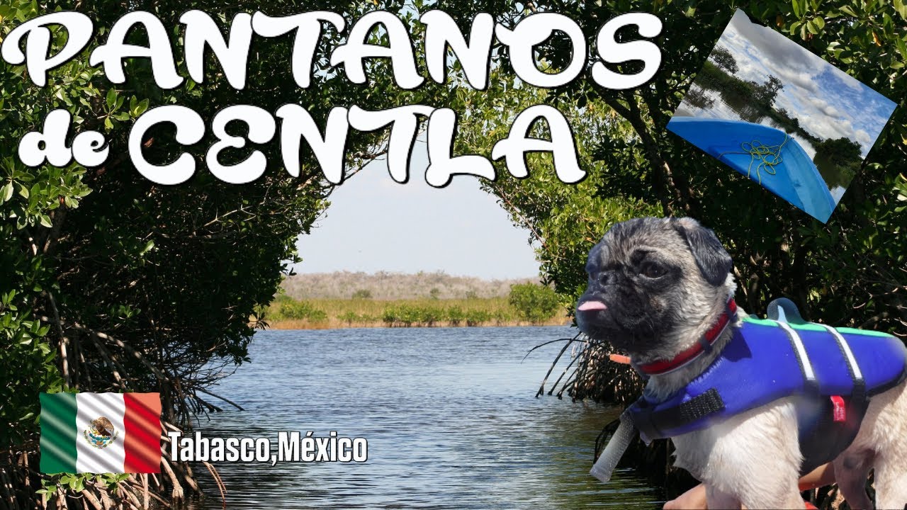 FRONTERA TABASCO NUEVO PUEBLO MAGICO | MANGLARES de CENTLA, Tabasco ...
