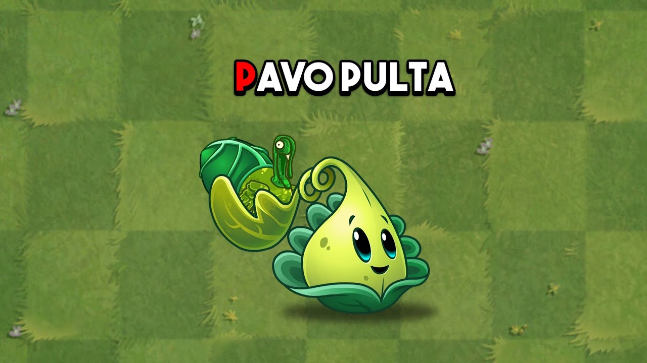 SOLO USO PLANTAS QUE EMPIEZAN CON LA "P" - YouTube