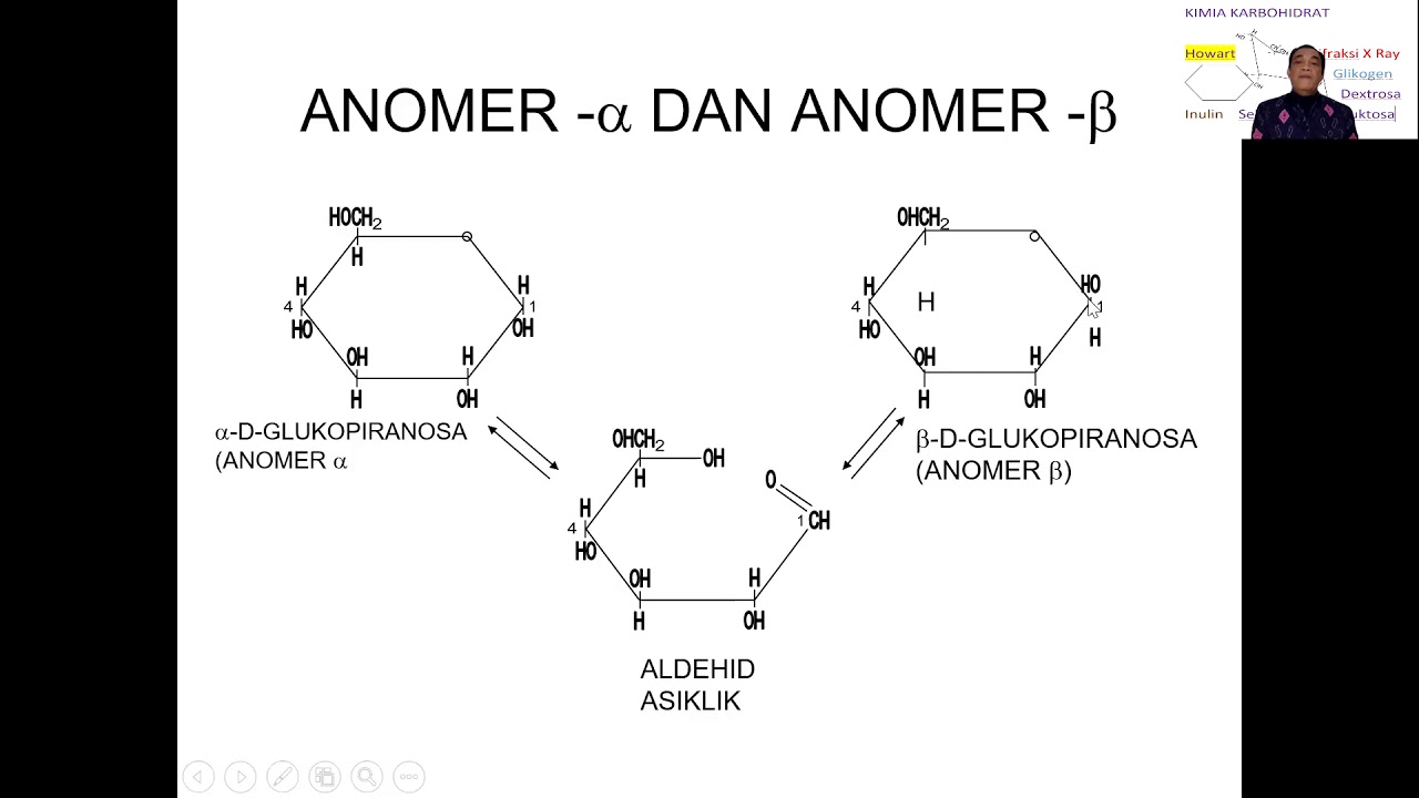Kimia karbohidrat 2: Furanosa, piranosa, anomer, fungsi/ peran ...