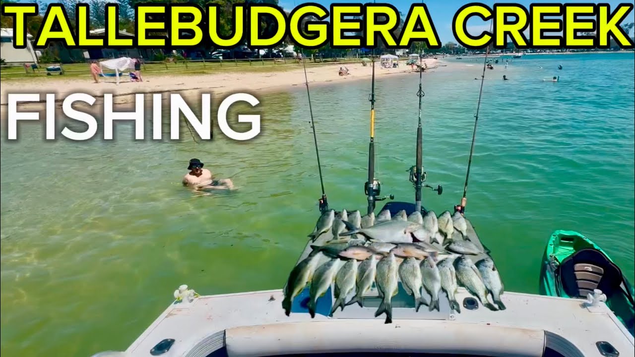 Tallebudgera Creek Fishing, Boat Camping - YouTube