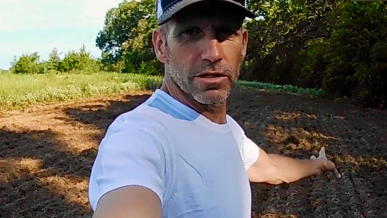 How to Plant Easy Food Plot for Whitetail Deer - YouTube
