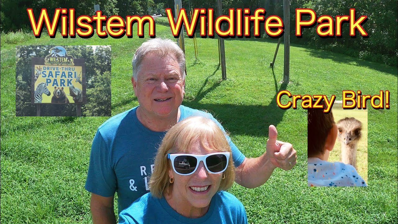 Wilstem Wildlife Park - YouTube