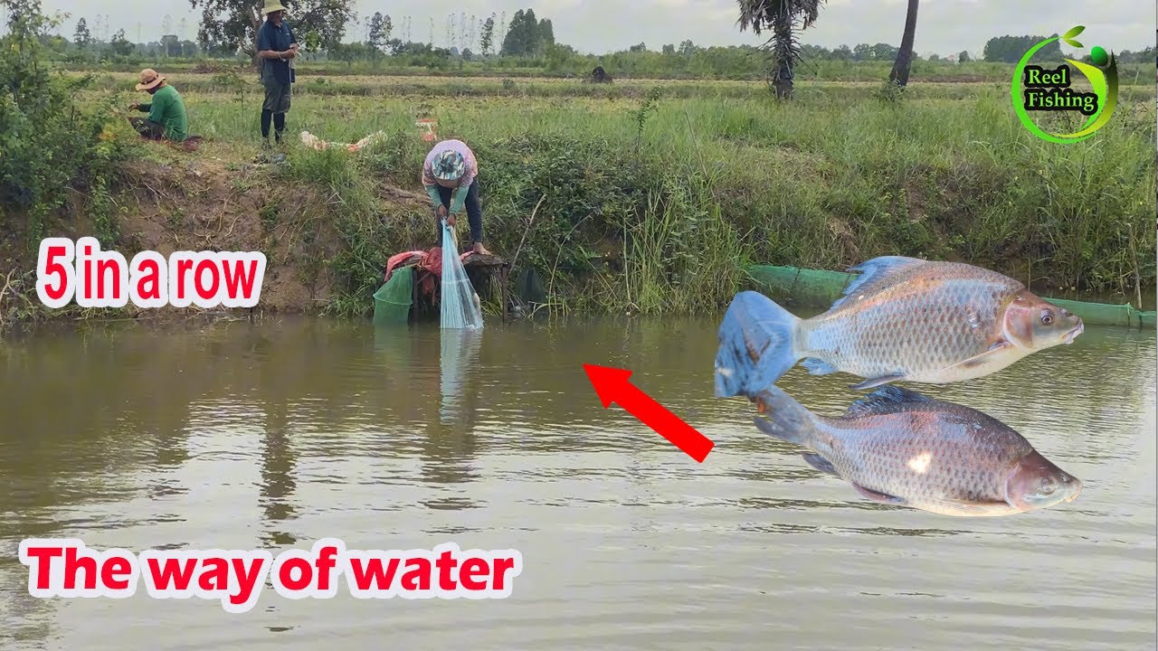 Fisherman Cast Net Fishing Real Life Fishing At Countryside.(Episode 3 ...