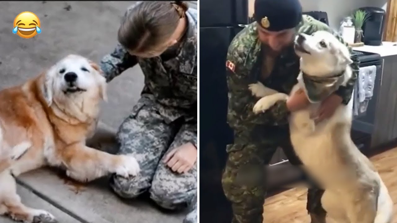 Veteran Day ~ A Day in the Life of a Veteran and Service Dog😍😍|Animals ...